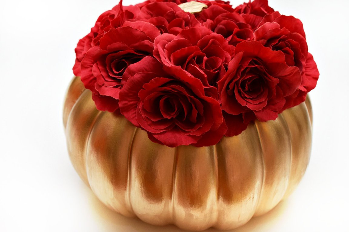 Citrouille Dorée Rose Rouge - Fleuriste à Casablanca - Acheter Et ...