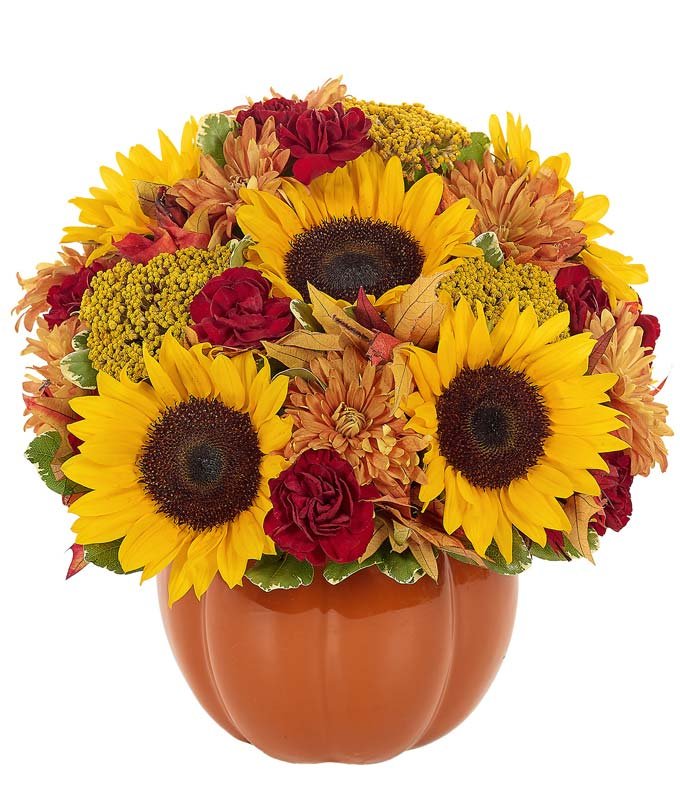Sunflower Pumpkin - Fleuriste à Casablanca - Acheter Et Livrée Des ...