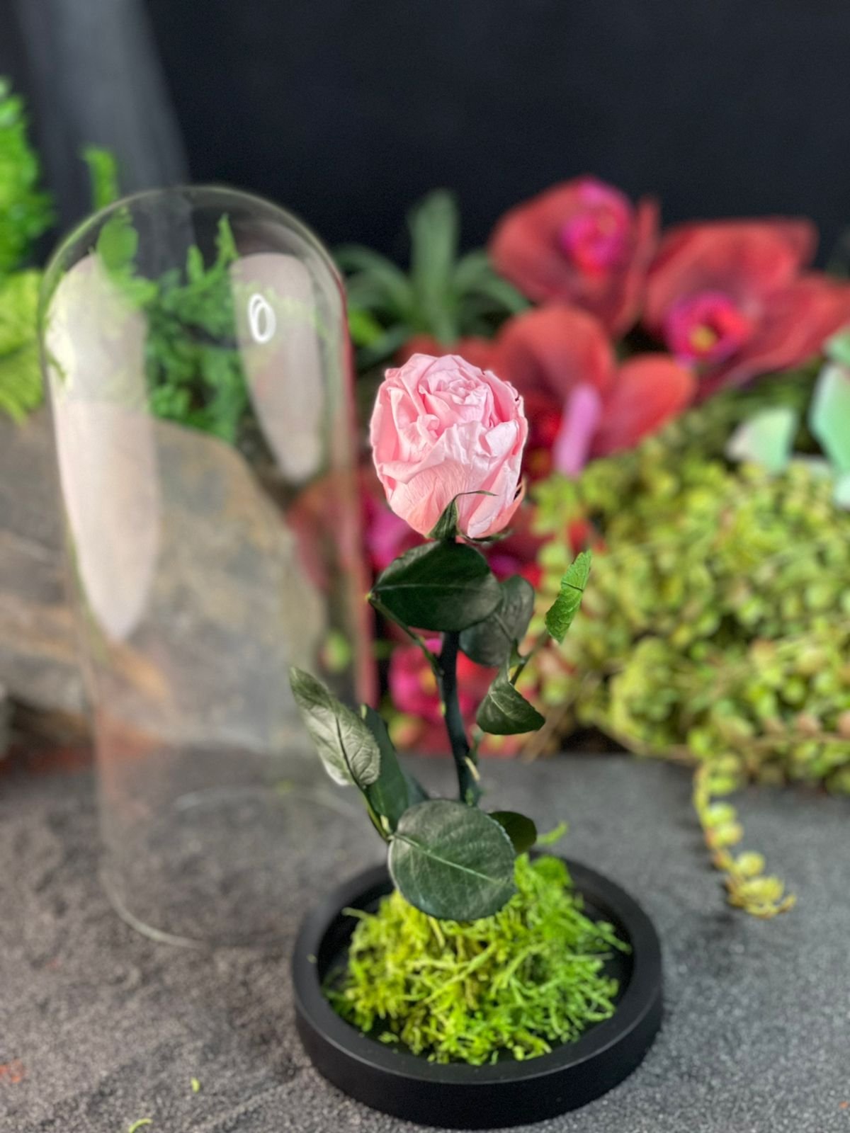 Fleur Eternelle Fraiche - Fleuriste à Casablanca - Acheter Et Livrée ...