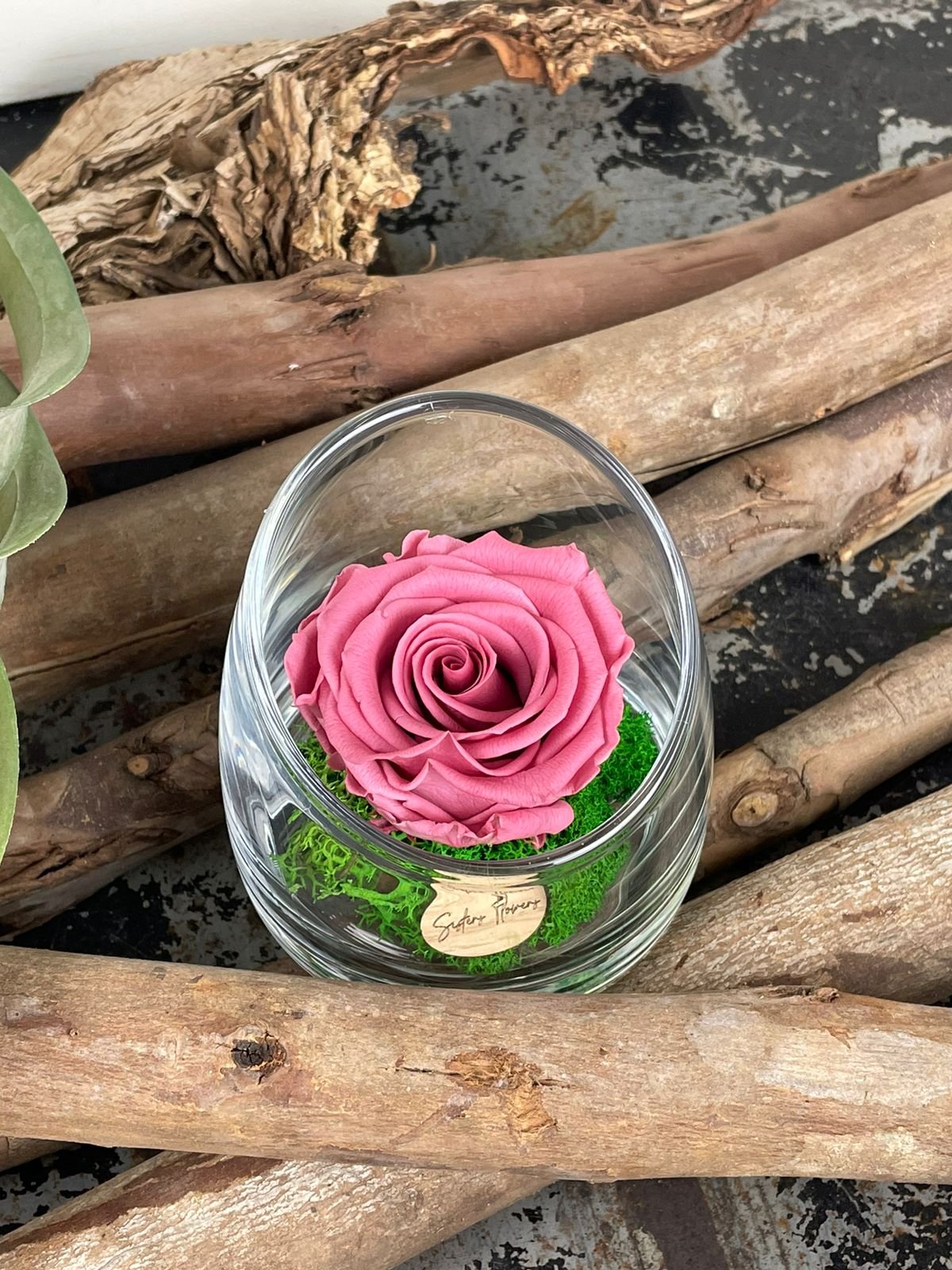 Rose éternelle Cherry - Fleuriste à Casablanca - Acheter Et Livrée Des ...