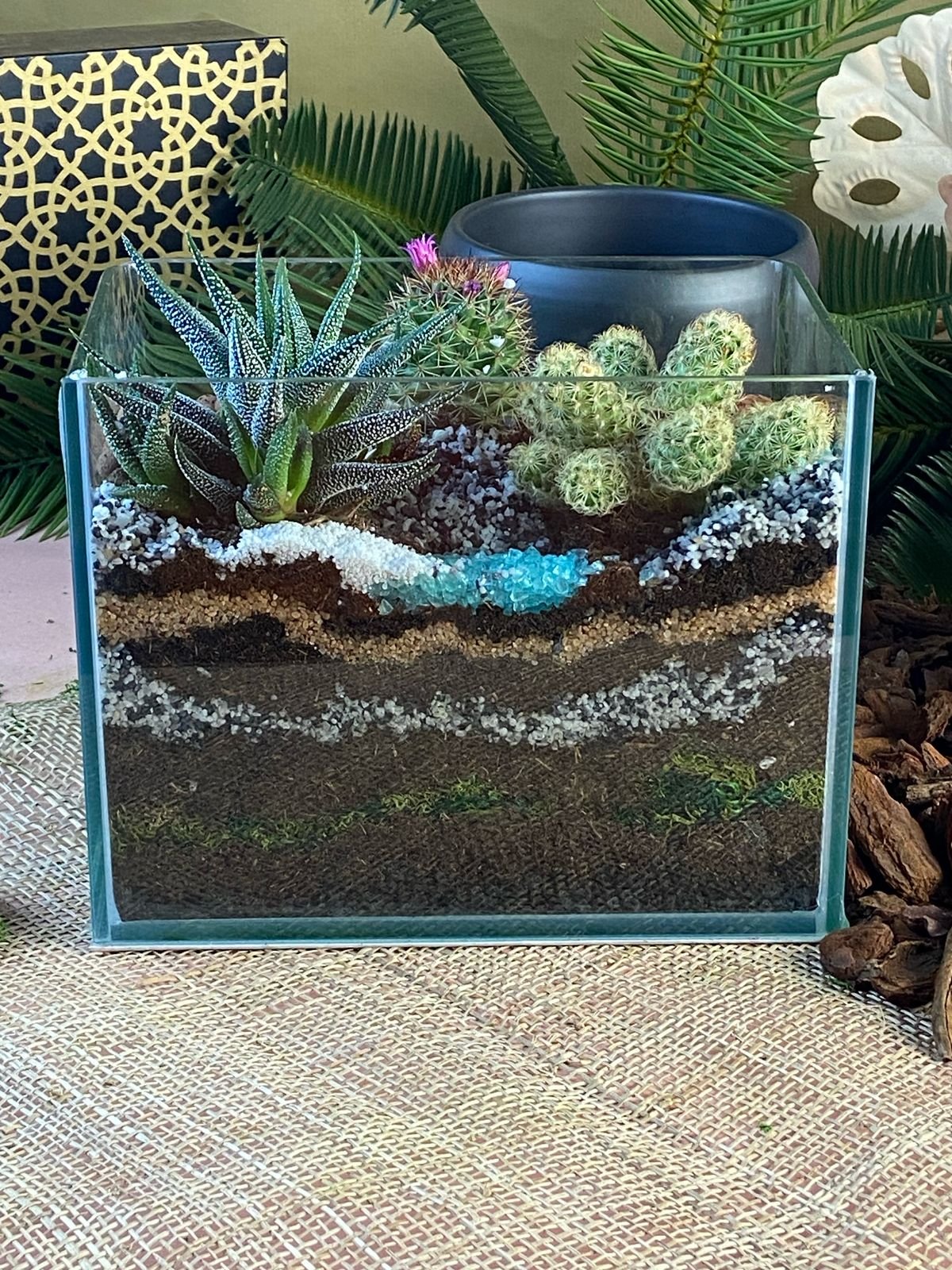 Terrarium Trio Du Désert - Fleuriste à Casablanca - Acheter Et Livrée ...